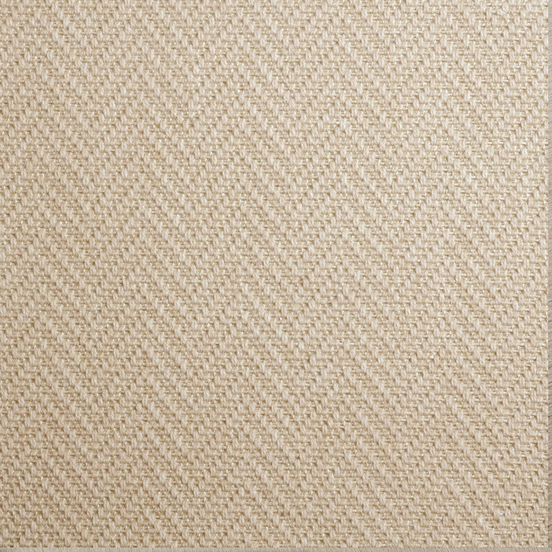 Gracie Oaks Patel Solid Color Rug & Reviews | Wayfair