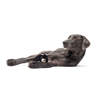 Bark Box Bark Black Bear Bones Dog Toy & Reviews | Wayfair.co.uk