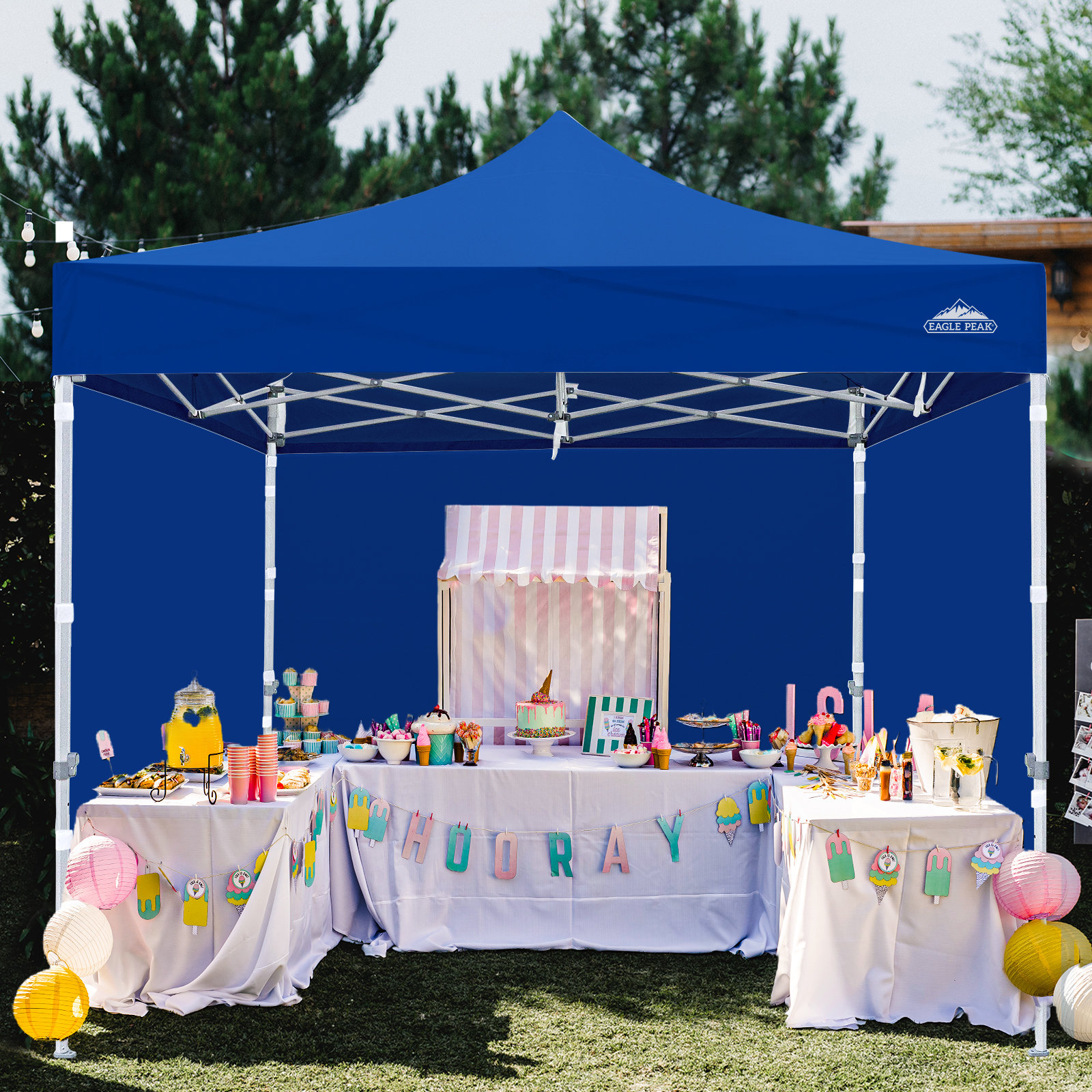 EAGLE PEAK 10 Ft. W x 10 Ft. D Heavy Duty Commercial Canopy with 4 ...