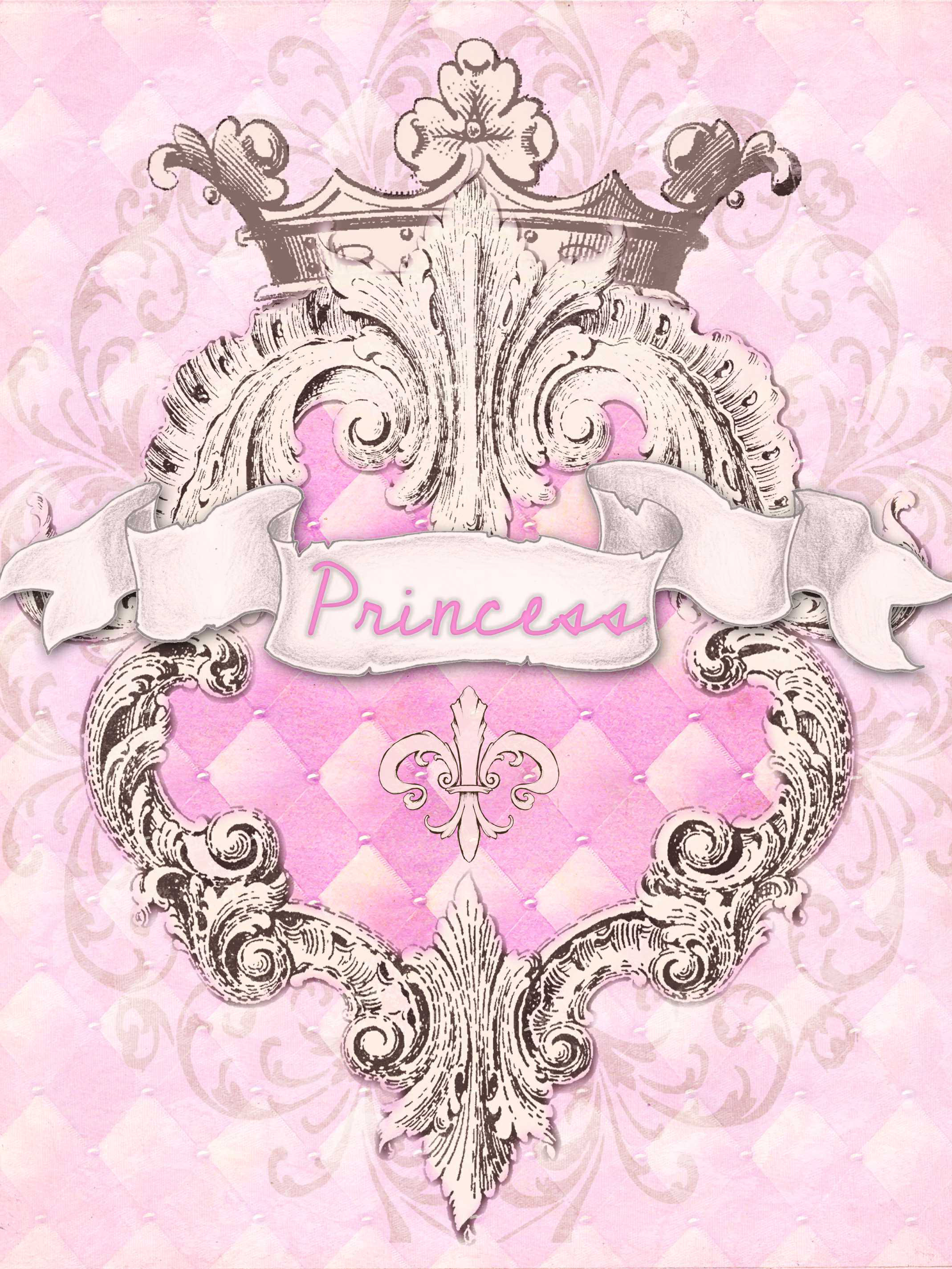 House of Hampton® Princess Shield - Wrapped Canvas Print | Wayfair