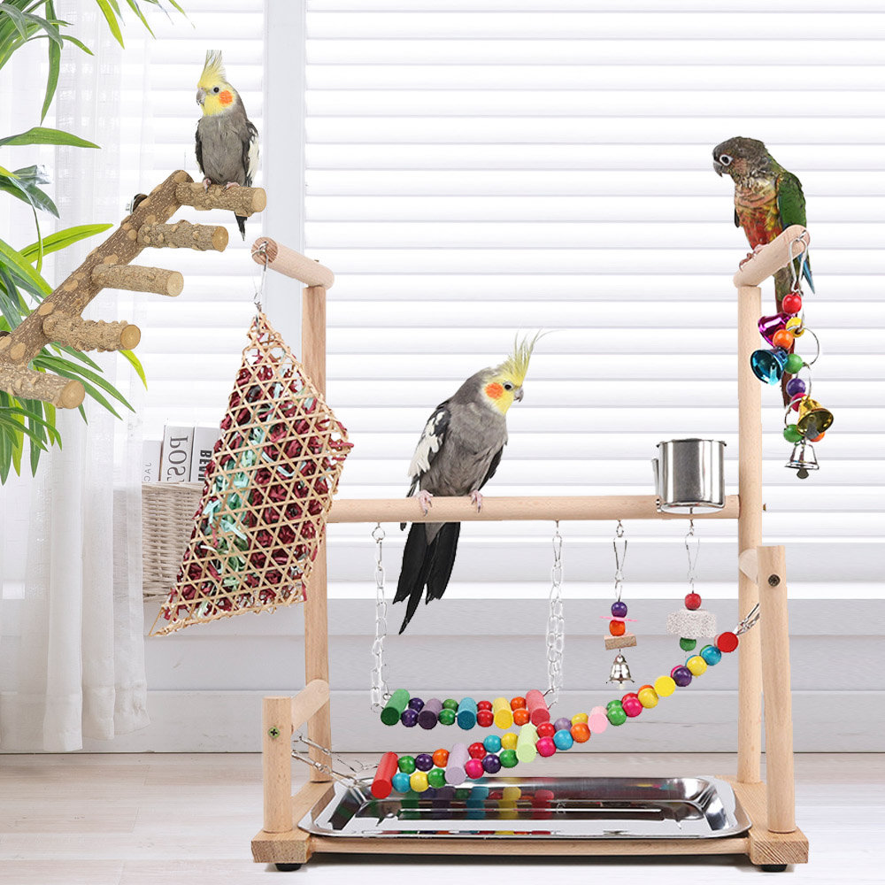 UMMA, LLC 16.7'' Wood Bird Play Gym for Table Top - Wayfair Canada