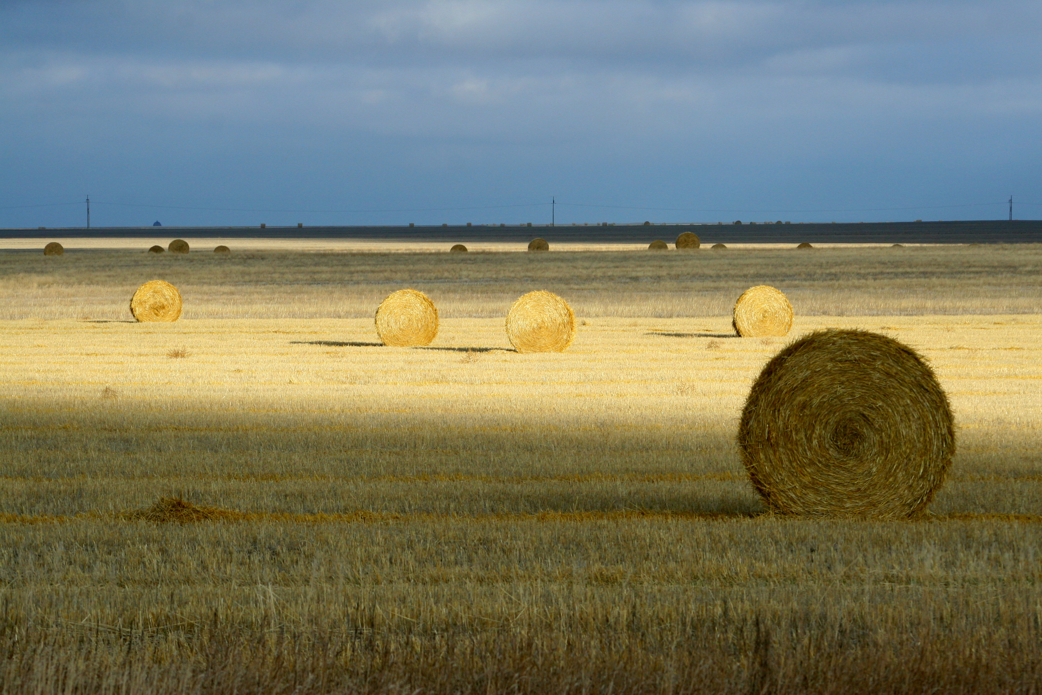 17 Stories Straw Bales by Richo Fan - Wrapped Canvas Photograph ...