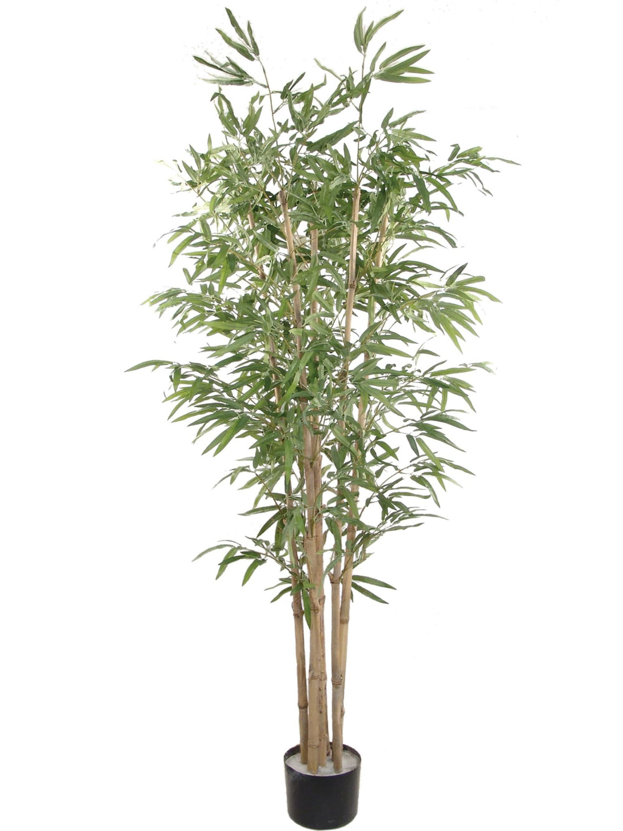 Hokku Designs 2-pack 6' Artificial Bamboo Trees With 1296 Leaves ...