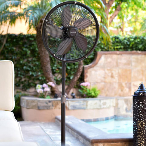 NewAir 55.9" Oscillating Standing Fan & Reviews | Wayfair
