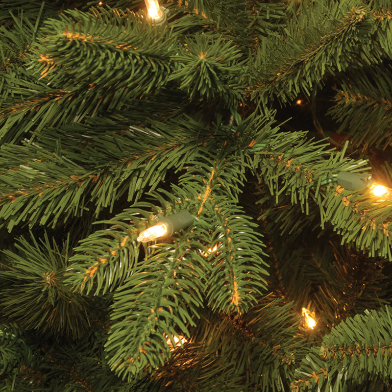 The Holiday Aisle® 14 ft. Ridgewood Spruce Slim Tree with LED Lights ...