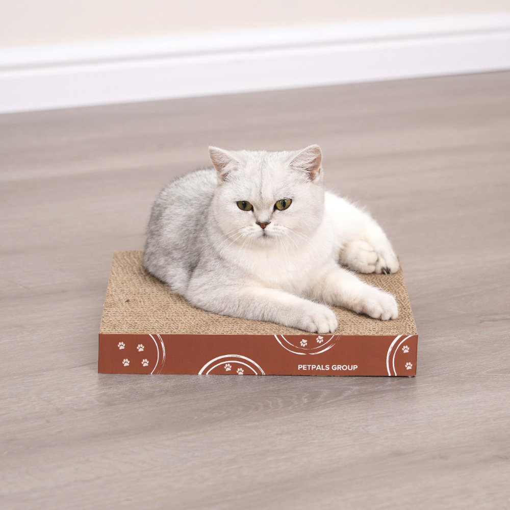 Petpals Cardboard Scratcher - 12"h, Four-pack, Replaceable, Cardboard ...