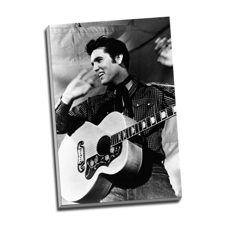Panther Print Elvis Presley - Wrapped Canvas Art Prints | Wayfair.co.uk