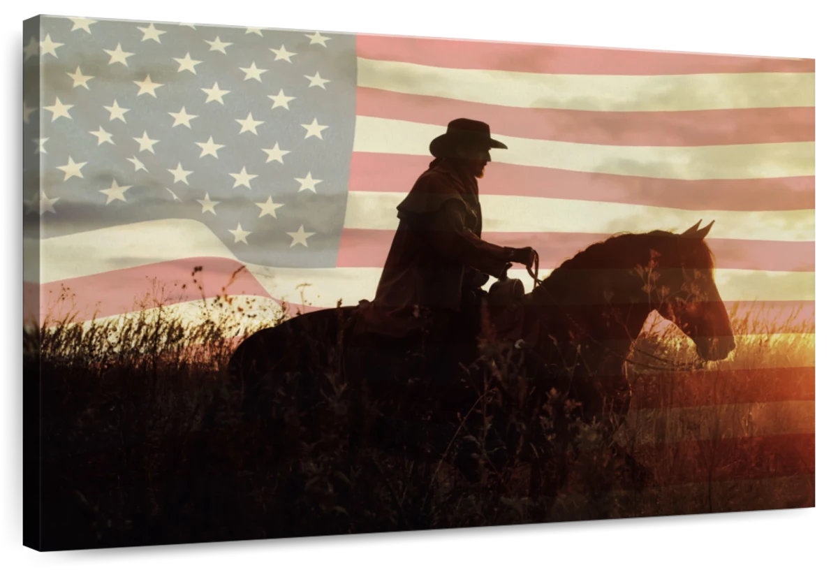 Union Rustic Lelar Cowboy US Flag - Wayfair Canada