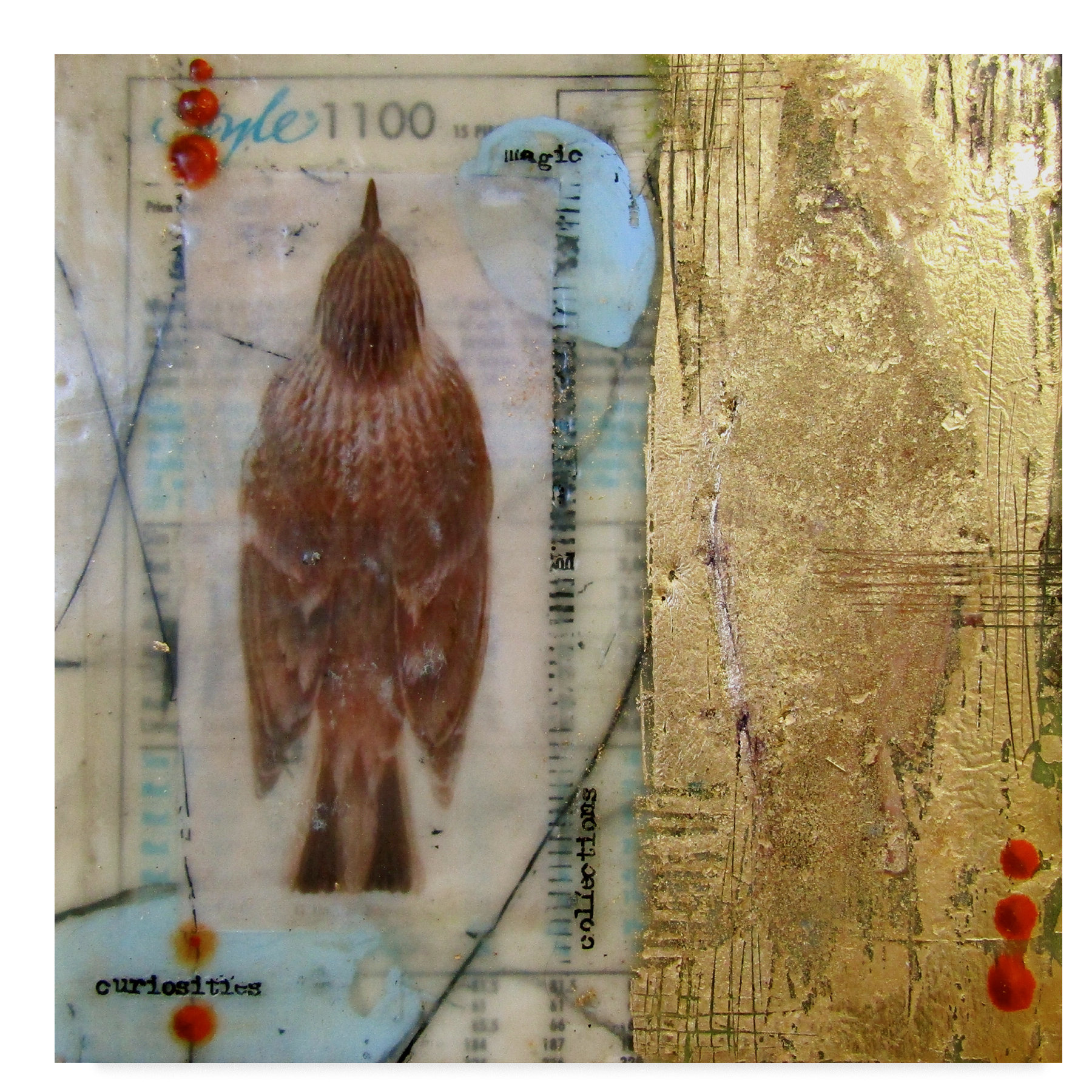 Ebern Designs Oddities - Graphic Art Print on Canvas - Wayfair Canada