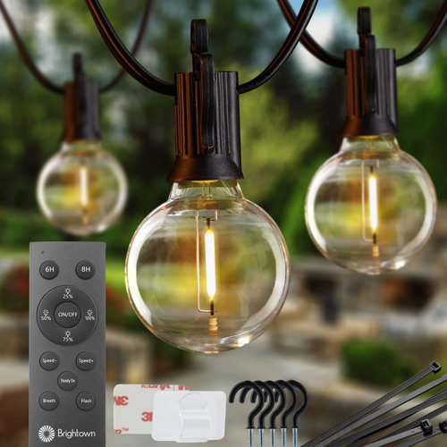 Wayfair | Indoor String Lights You'll Love in 2023