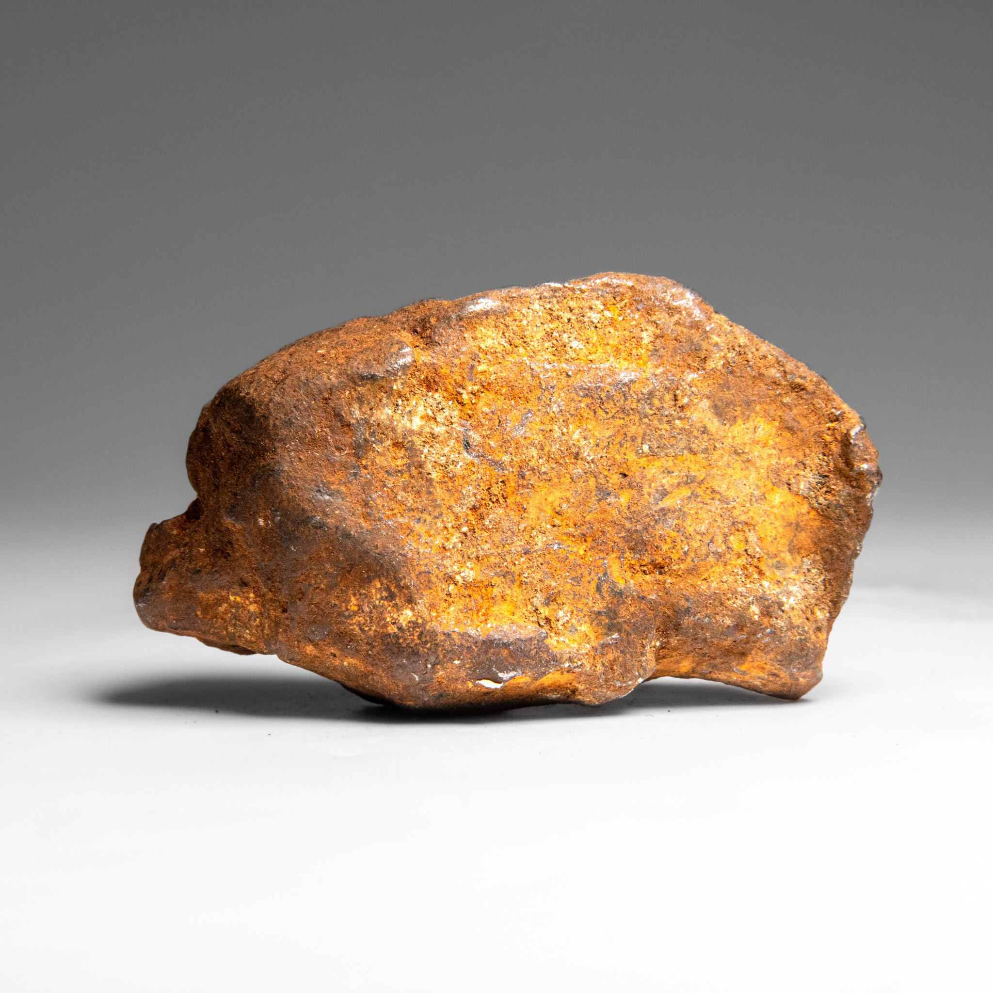 Astro Gallery of Gems Genuine Gebel Kamil Meteorite From Egypt (242 ...