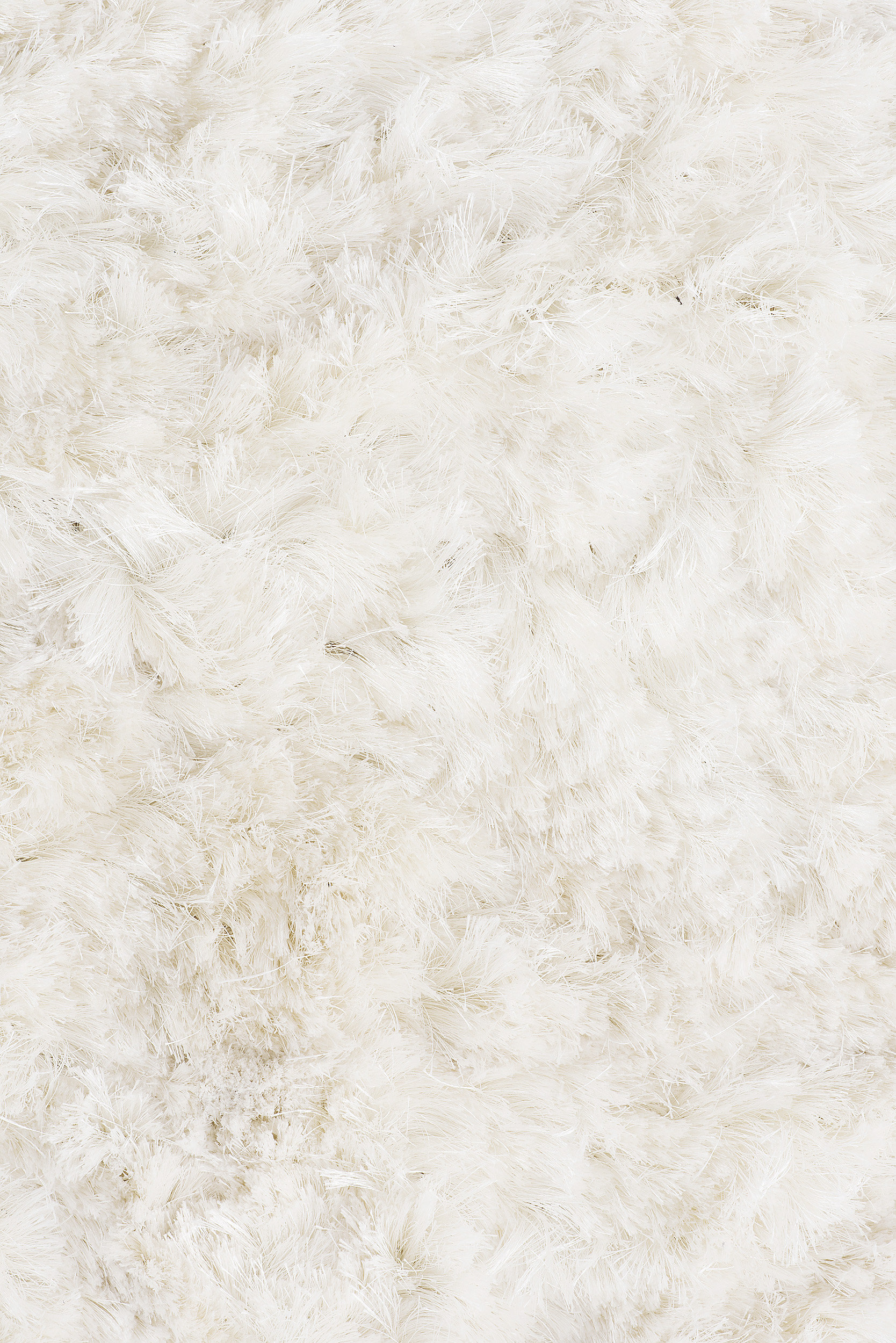 Brayden Studio® Seldovia Solid Color Rug | Wayfair