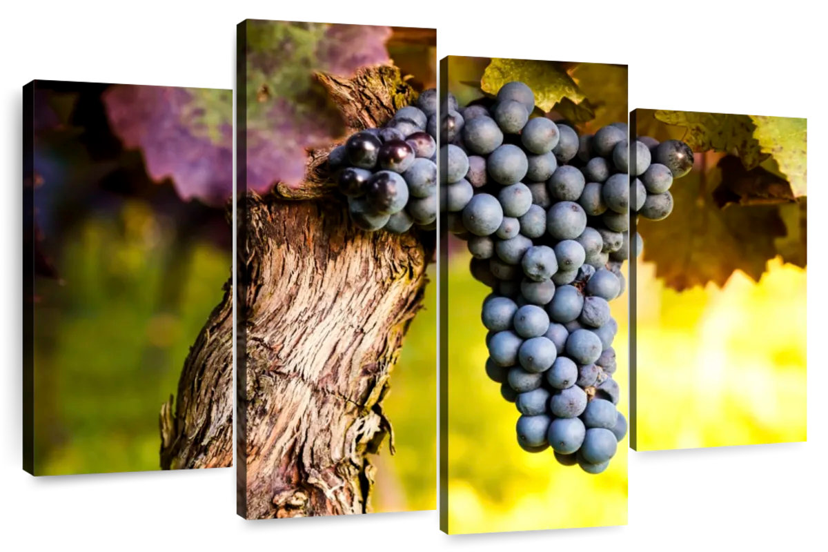 Ebern Designs Yarlin Plump Black Grapes | Wayfair