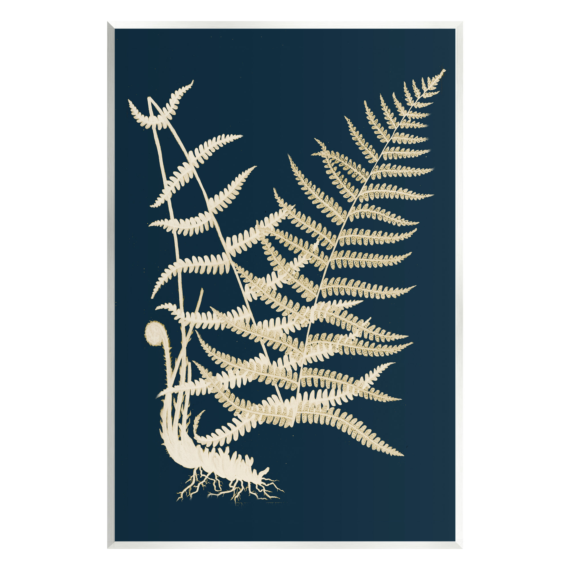 Stupell Industries Layered Fern Leaves Abstract Botanical Roots Shapes ...