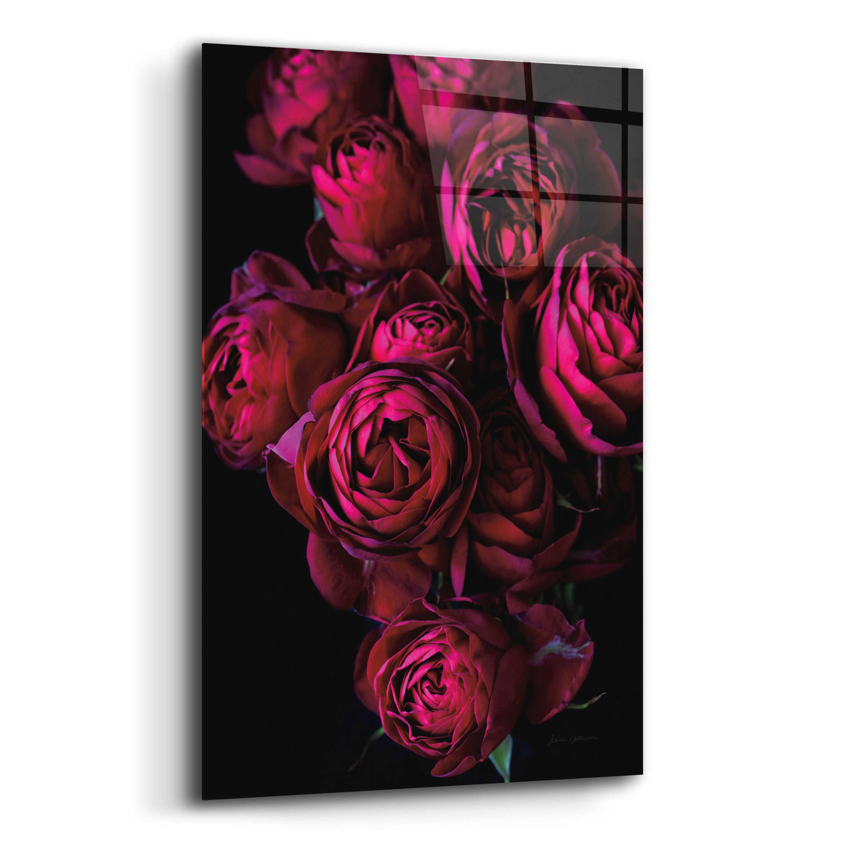 Red Barrel Studio® Cabbage Roses' By Elise Catterall, Acrylic Glass ...