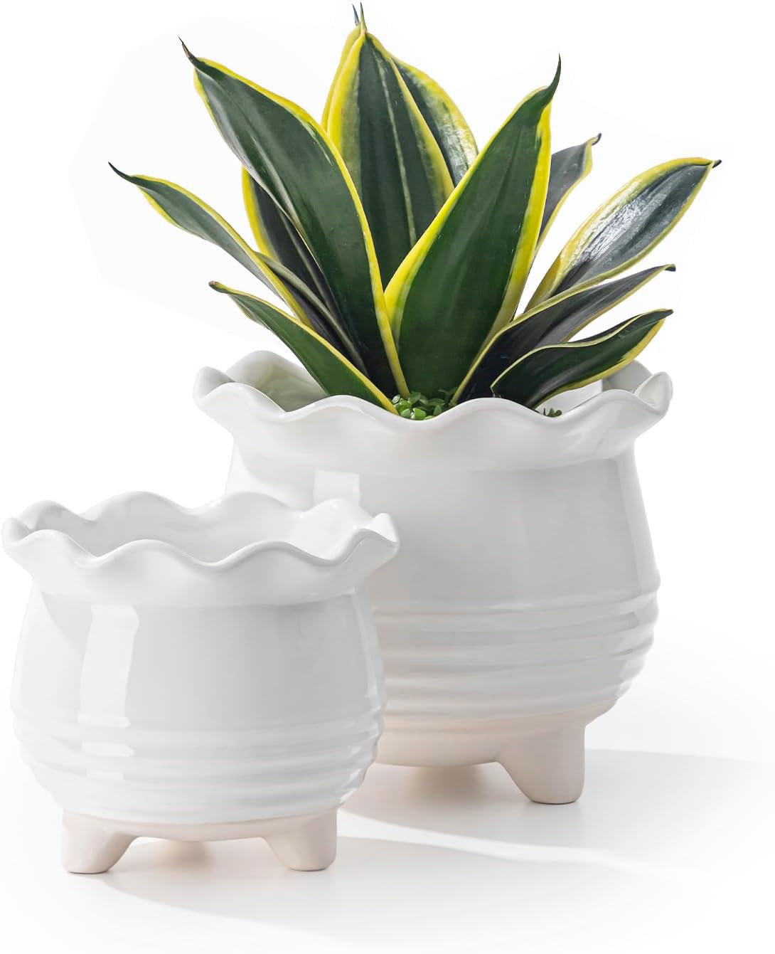 Ivy Bronx 2-piece White Ceramic Planter Set With Drainage | Wayfair