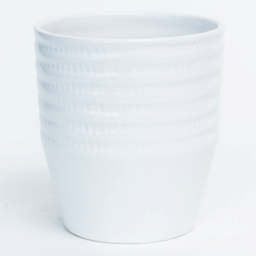 Ebern Designs Shiny White Orchid Planter - Wayfair Canada