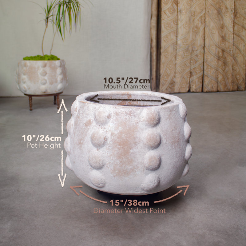 Gracie Oaks Short Terracotta pot with stand. | Wayfair