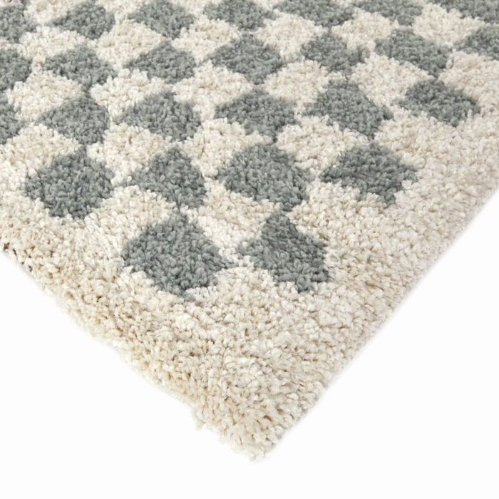 AllModern Walker Checkered Rug & Reviews | Wayfair