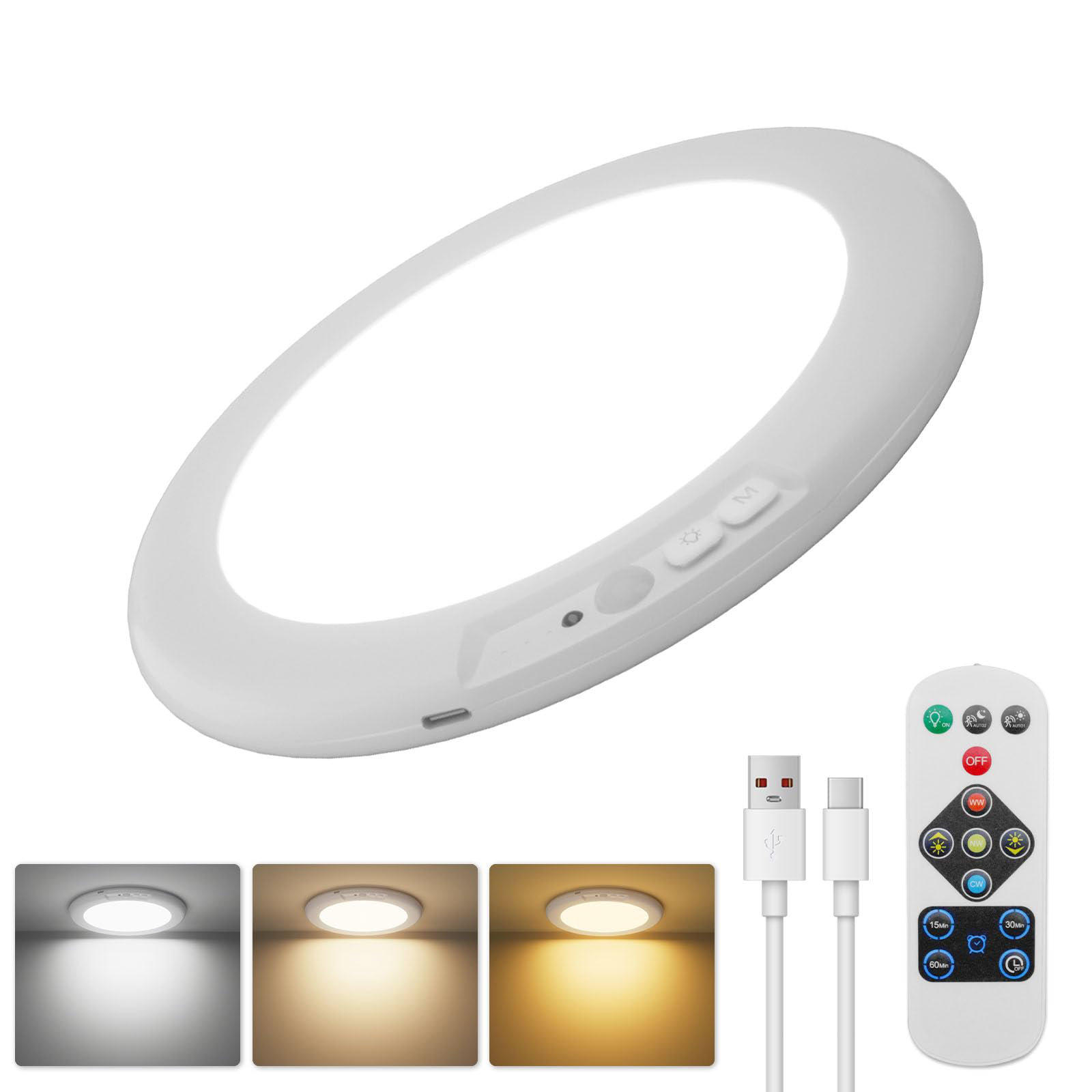 Wrought Studio Motion Sensor Ceiling Light, Magnetic Wireless Battery ...