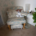 Zipcode Design Alexandrina Side Table & Reviews | Wayfair.co.uk