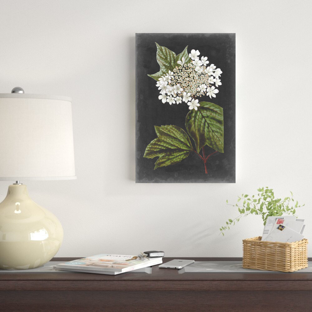 August Grove® Dramatic White Flowers III by Vision Studio - Wrapped ...