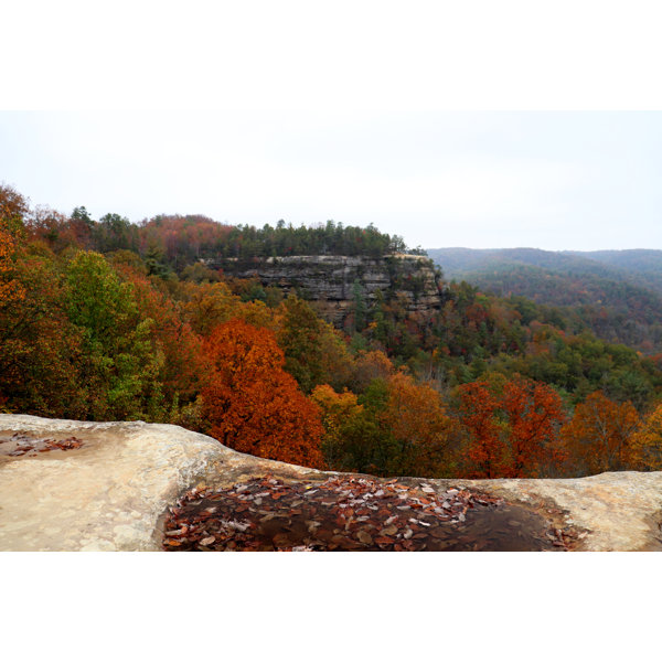 Alpen Home Red River Gorge by James Robert Smith - Wrapped Canvas Print ...