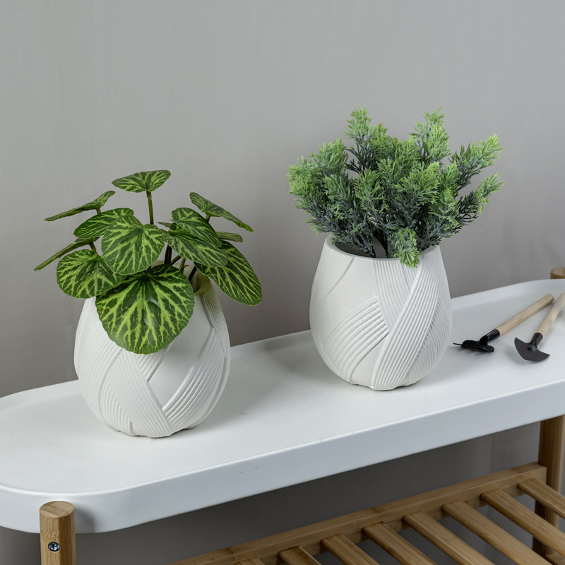 Wrought Studio™ 2 Piece Indoor Small Flower Pot Planters & Reviews ...