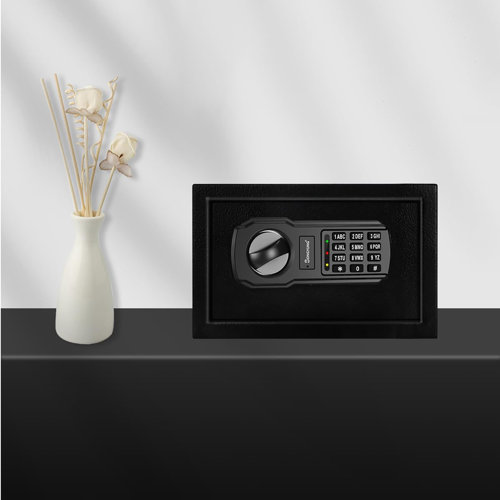 Banchy&Beauty Security Safe Lock | Wayfair