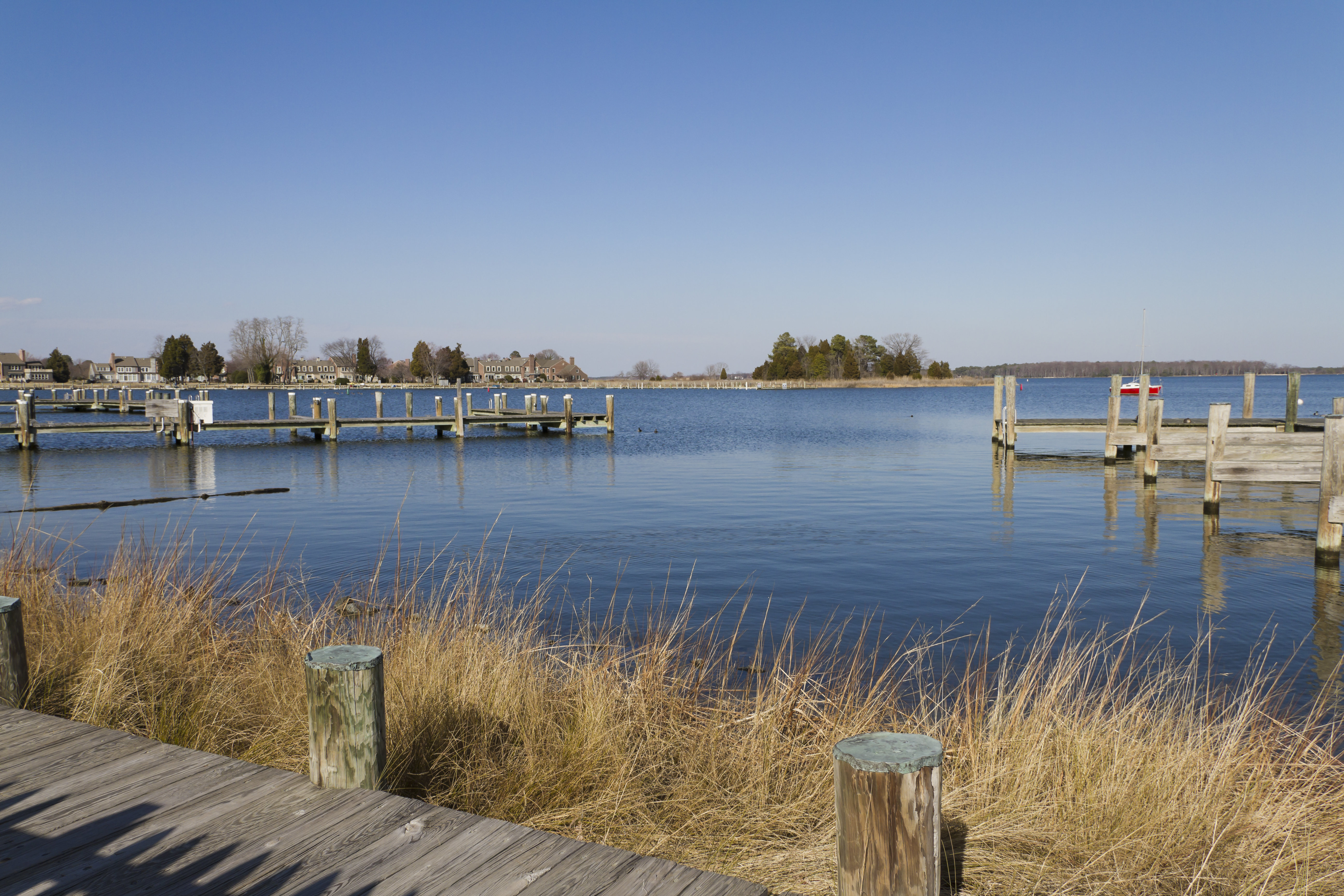 Millwood Pines Miles River Scenic View by Williamsherman | Wayfair