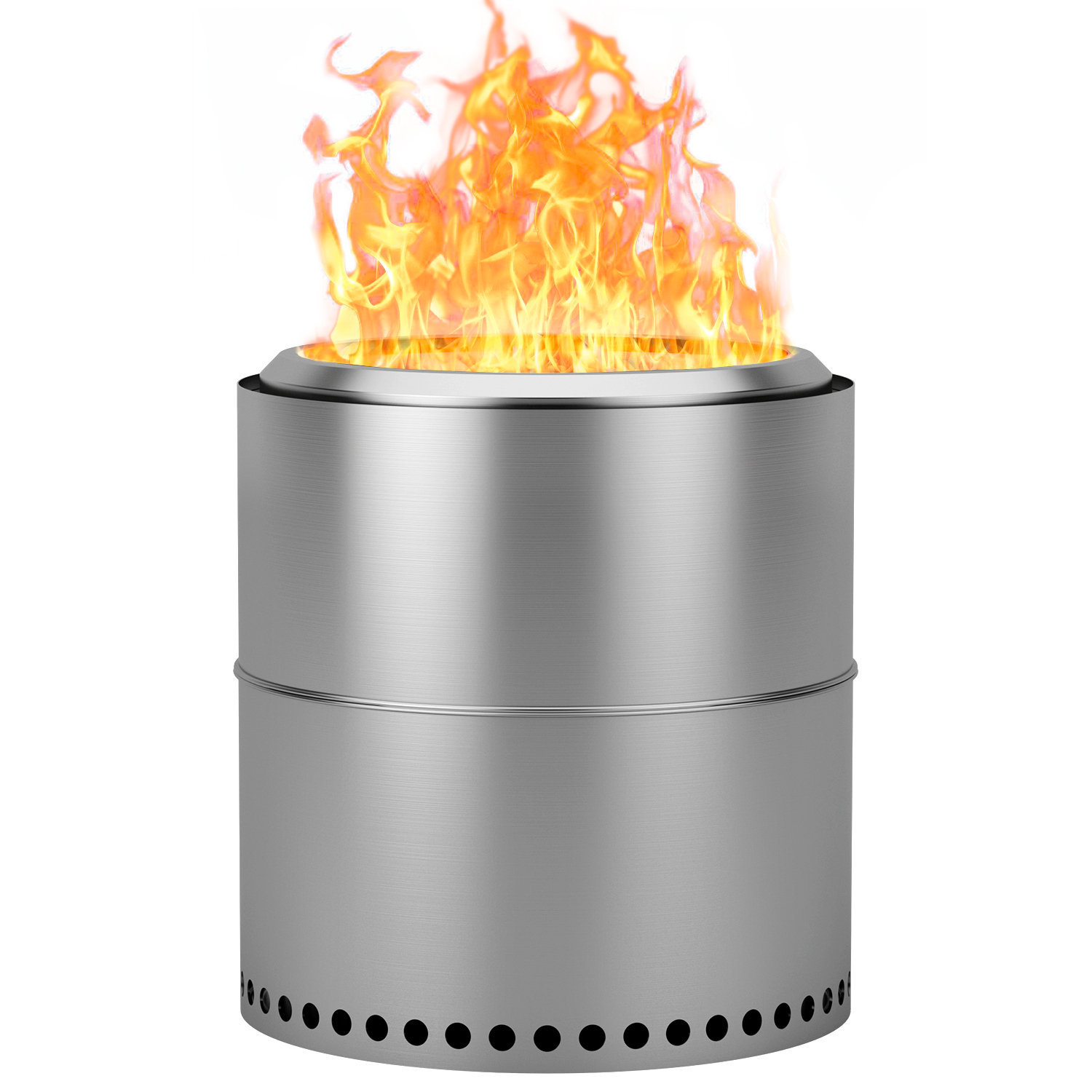 Ivy Bronx Demarkis Steel Wood Burning Outdoor Fire Pit & Reviews | Wayfair