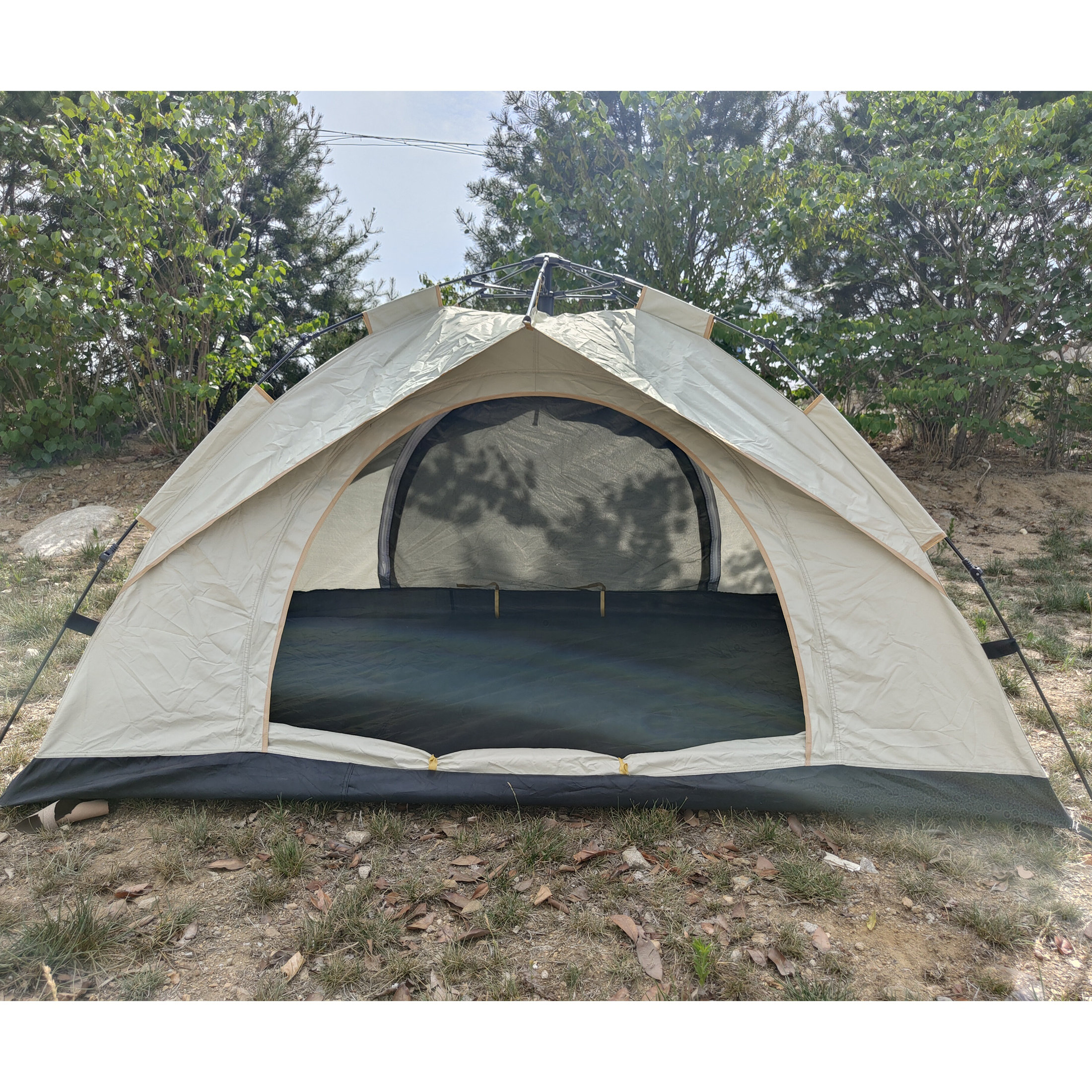 dingdangxiang Ultimate 2-3 Person Waterproof Camping Dome Tent for ...