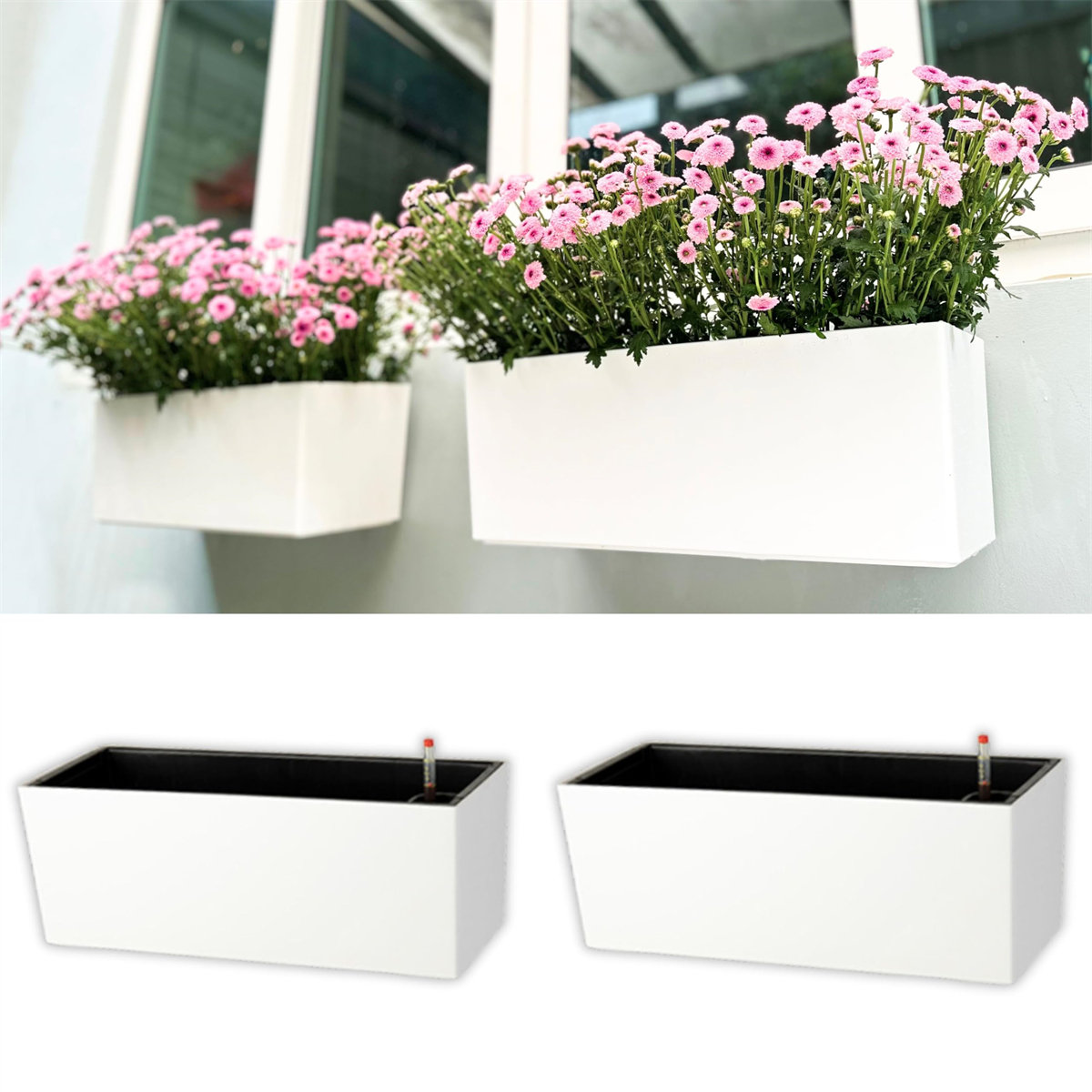 Latitude Run® Window Wall Hanging Rectangular Plant Pot Container ...