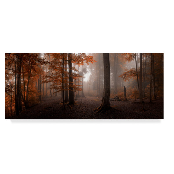 Trademark Art Tom Meier Autumn Orange Trees On Canvas by Tom Meier ...