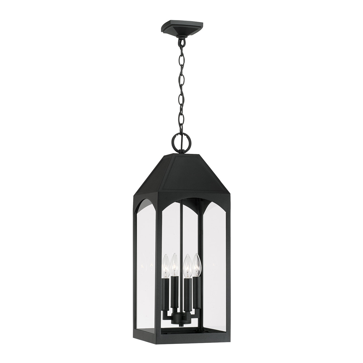 Birch Lane™ Lanterne suspendue d'extérieur en noir avec verre ...