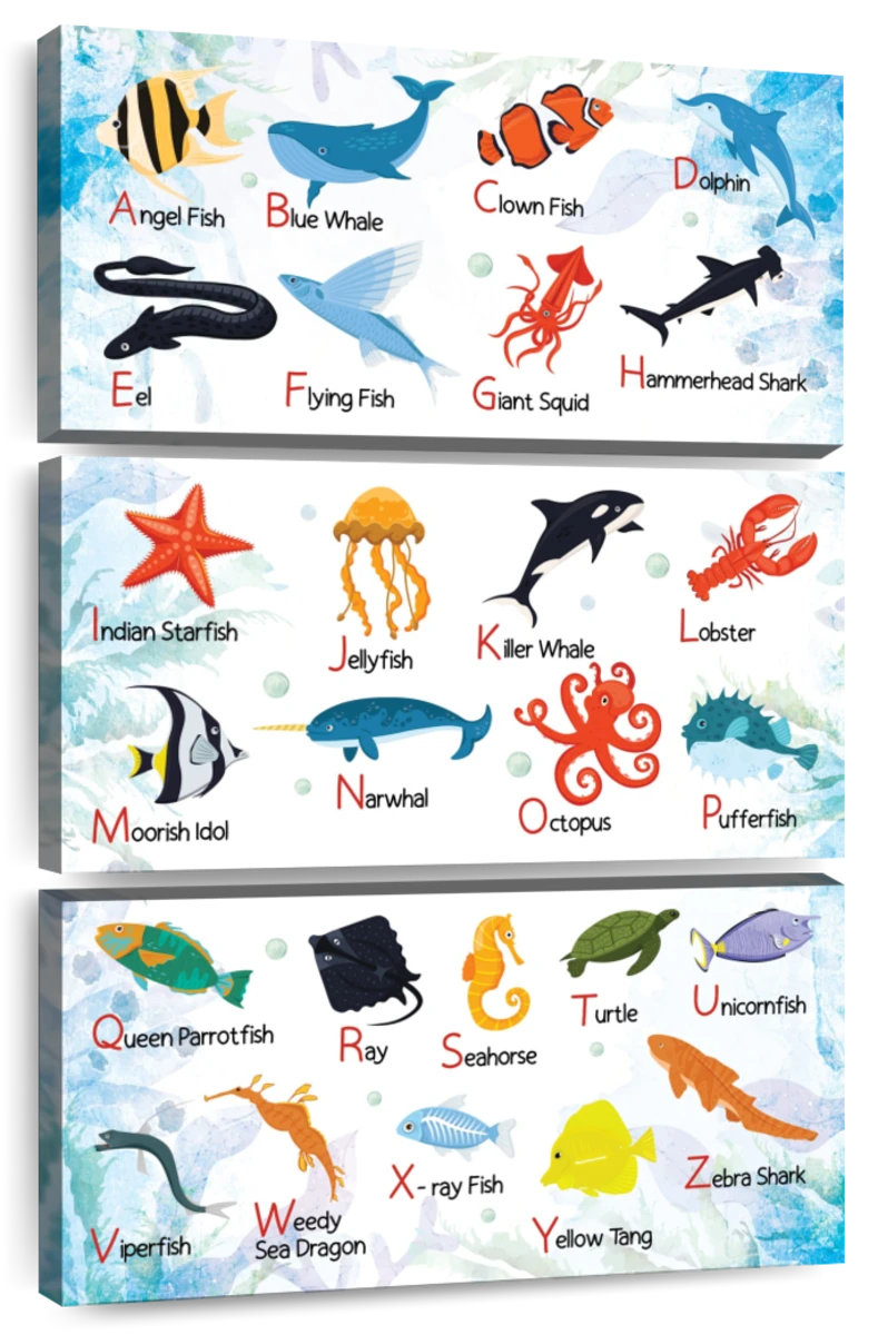 Trinx Sea Life Alphabet Chart - Wayfair Canada