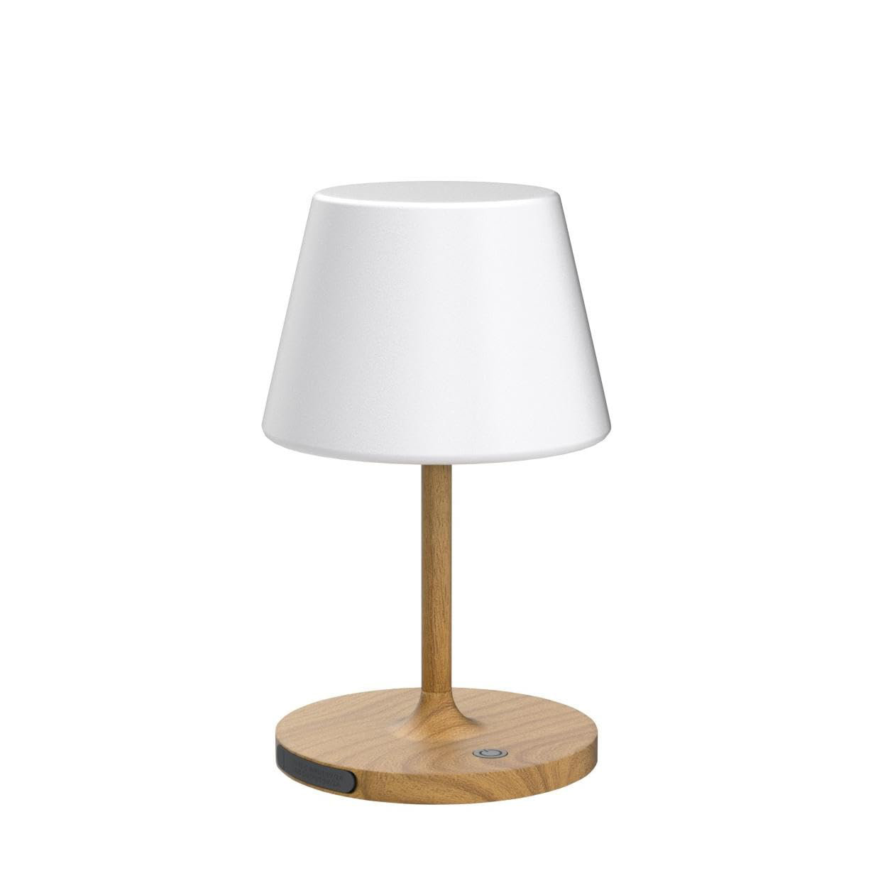 Latitude Run® Outdoor Battery Operated Table Lamp Waterproof, 4000Mah ...