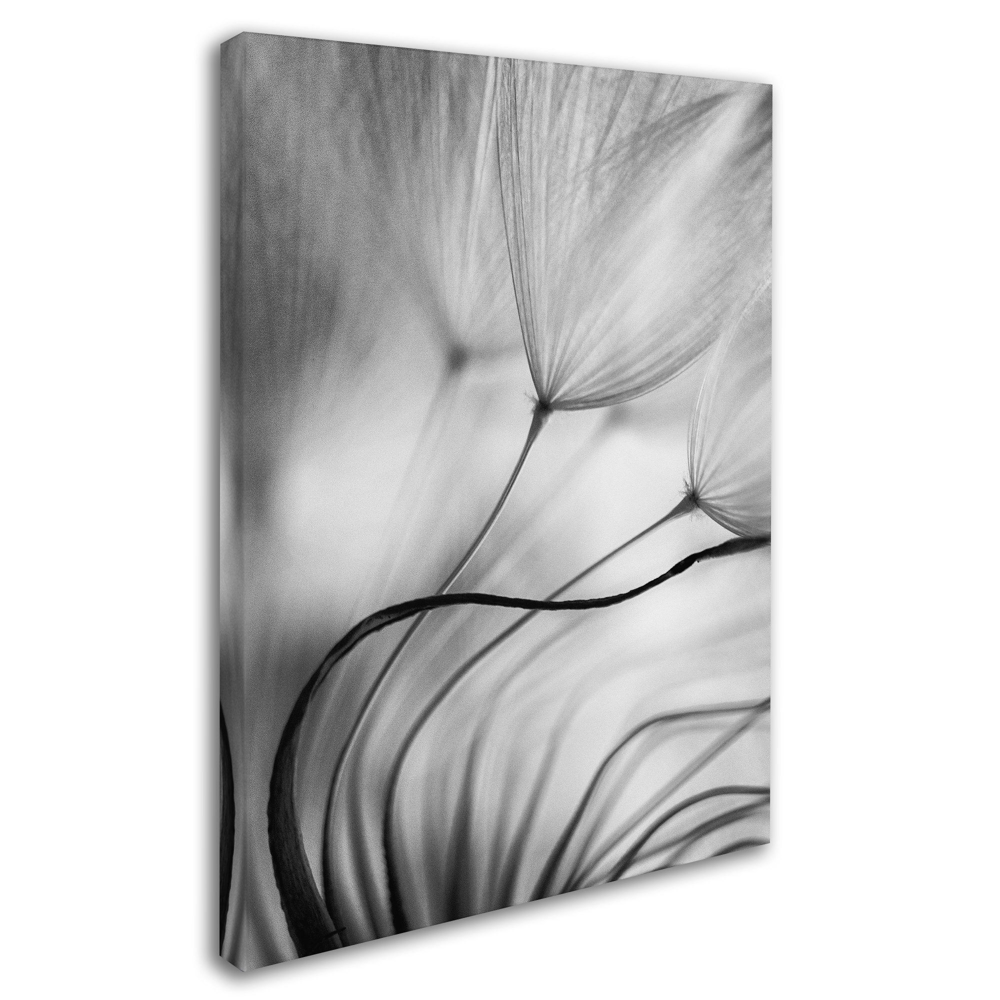 Trademark Art " Lean On Me " by Keren Or on Canvas & Reviews | Wayfair
