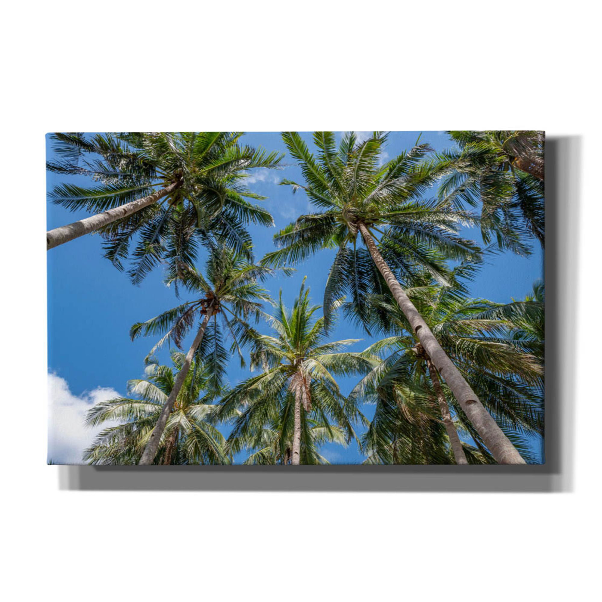 Bay Isle Home™ 'Palawan Palm Trees II' By Richard Silver, Canvas Wall ...