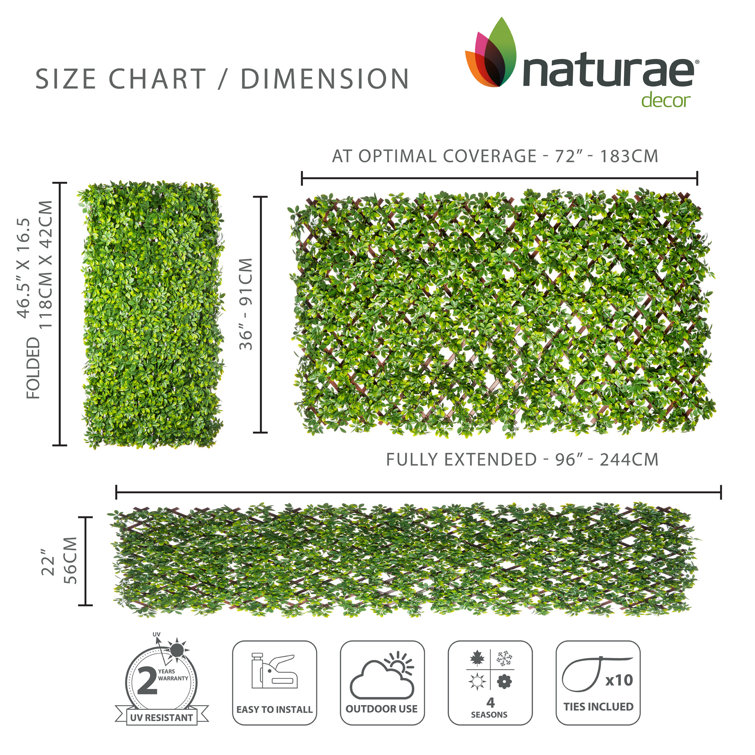 Naturae Decor 0.3 ft. H x 4 ft. W Polyethylene Privacy Screen | Wayfair