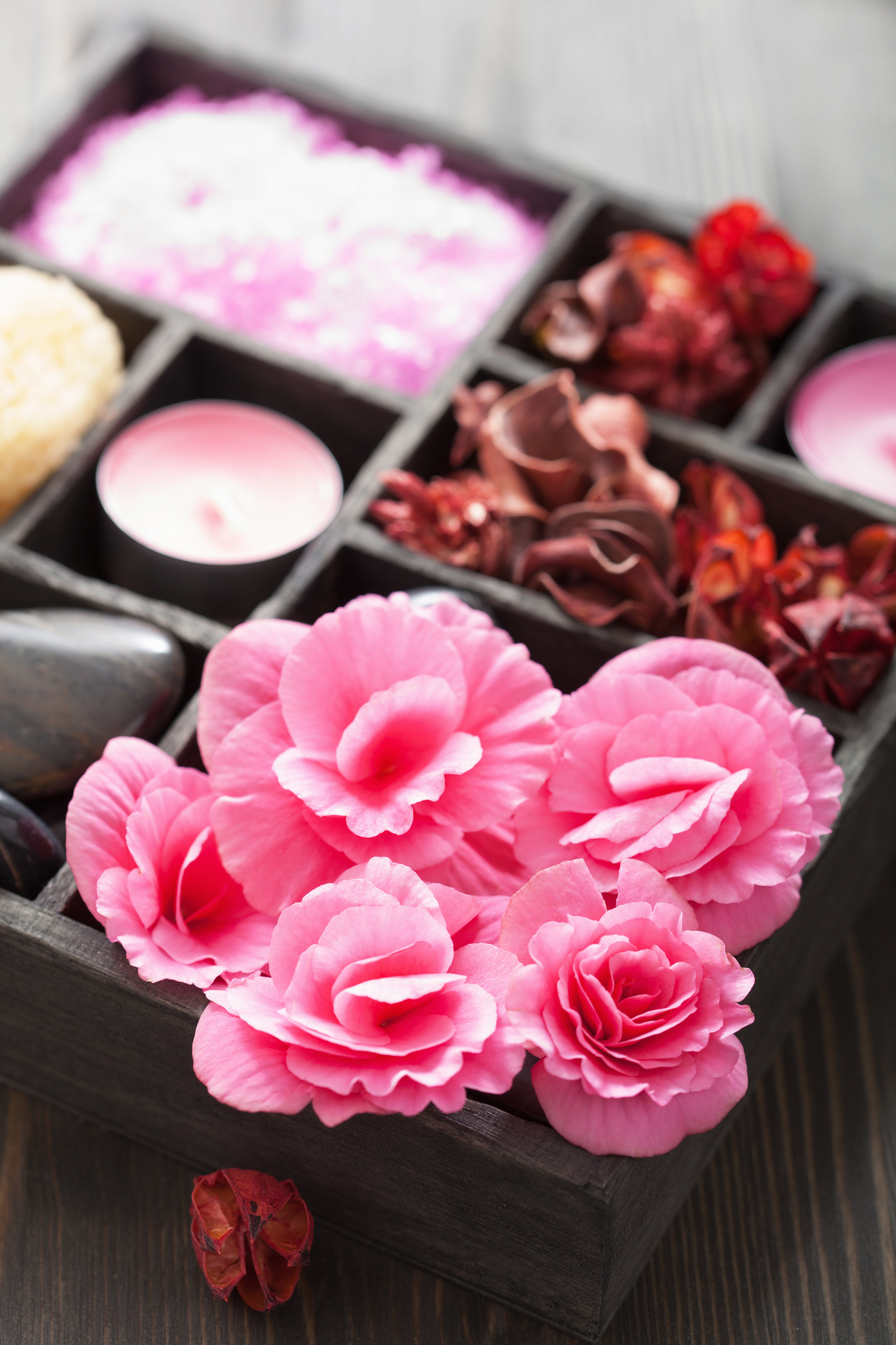 Hokku Designs Domini Spa And Aromatherapy Set by Olgamiltsova | Wayfair