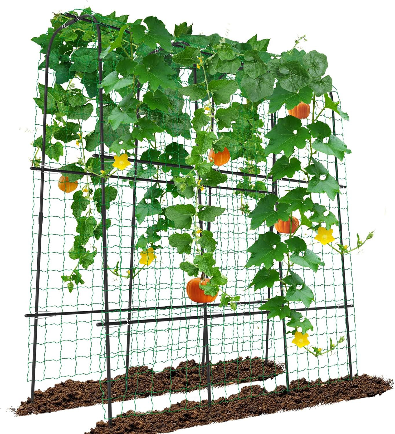 Arlmont & Co. Garden Cucumber Trellis,71 In Tall Metal Plant Support ...