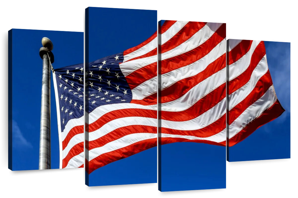Ebern Designs Borges Windblown American Flag | Wayfair