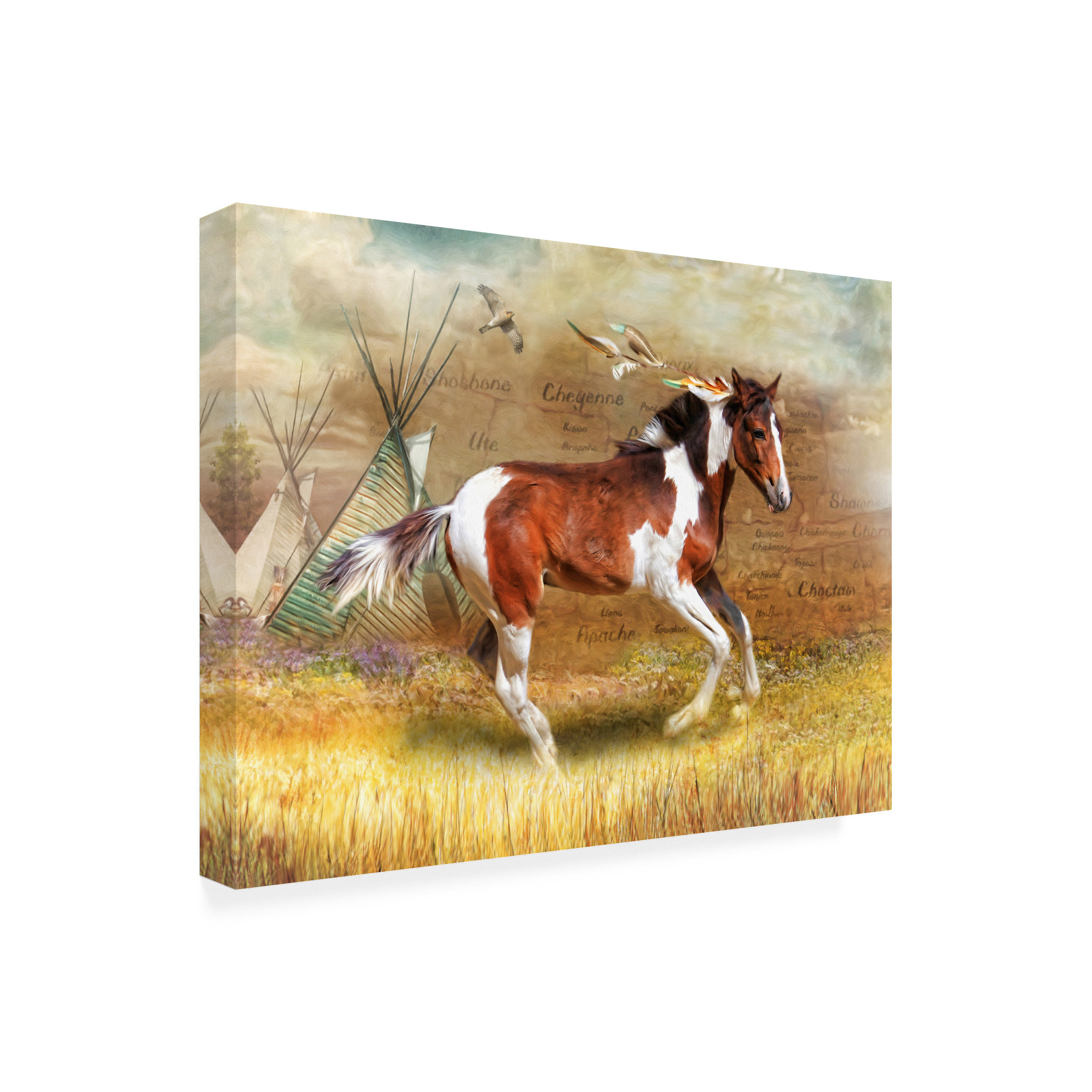 Union Rustic Kamenko Apache Warrior On Canvas by Trudi Simmonds Print ...