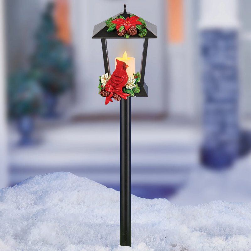 Ophelia & Co. Cardinal W Solar Lantern Stake | Wayfair