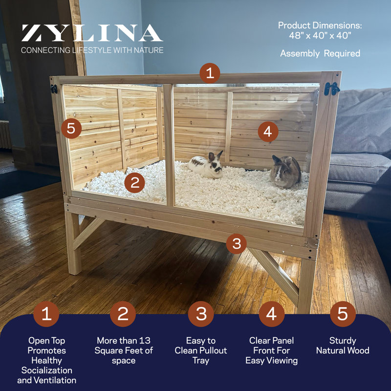 Zylina Raised Guinea Pig & Rabbit House & Reviews | Wayfair