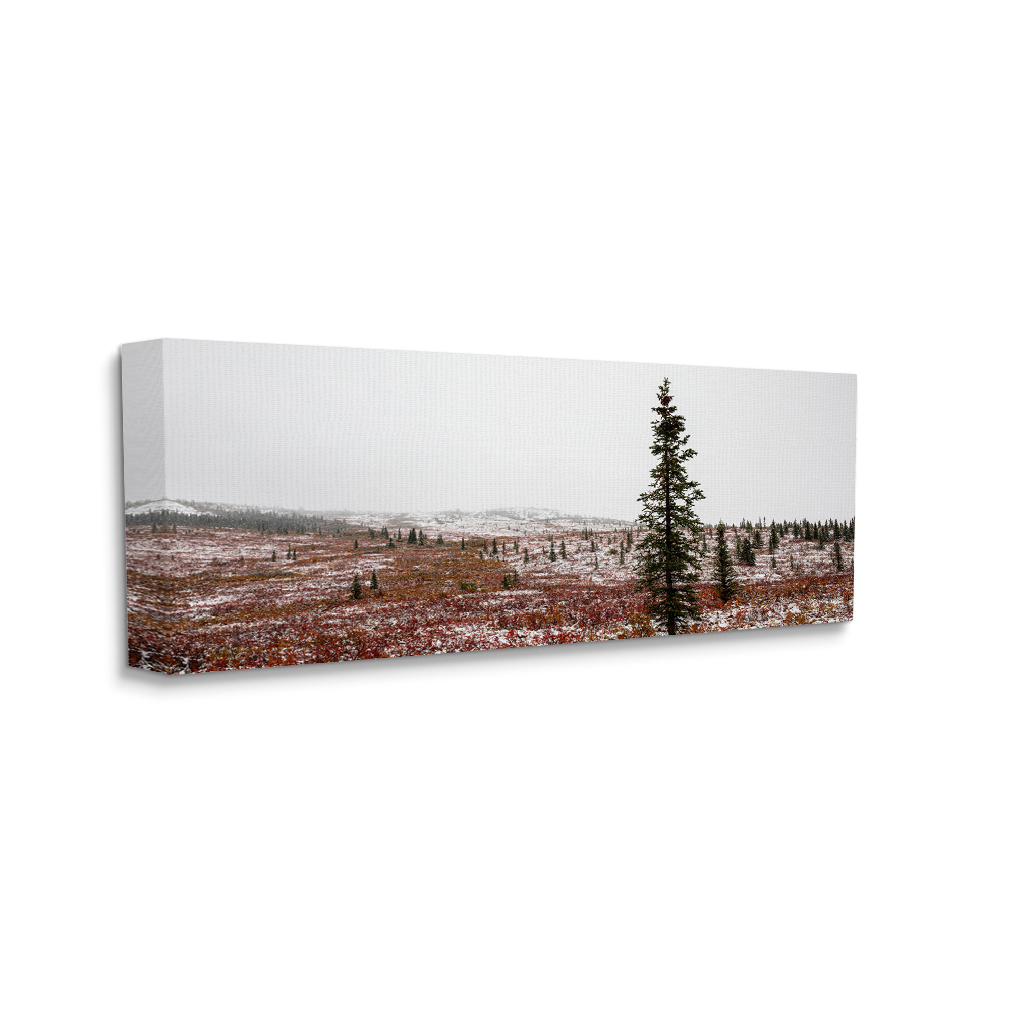 Stupell Industries Tall Pine Landscape On Canvas by Daniel Sproul Print ...