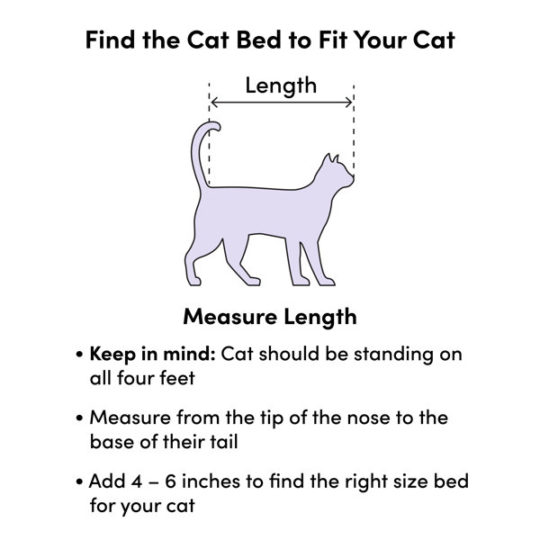 Kitty City Square Cat Bed & Reviews | Wayfair