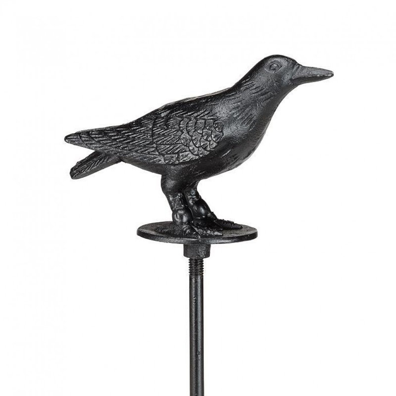 Lark Manor™ Standing Crow Garden Stake | Wayfair