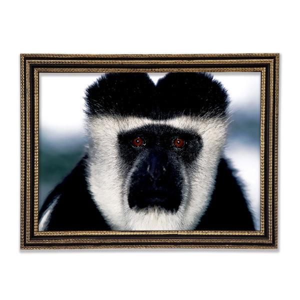 Ebern Designs Monkey Face - Print | Wayfair.co.uk